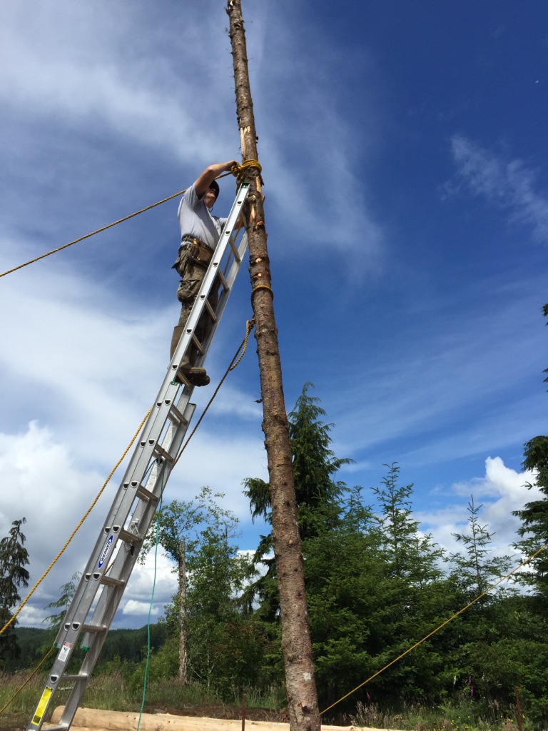 Cabin Lifting Poles | logcabinfromscratch